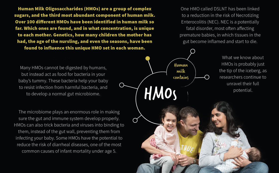 What's in breastmilk? – Human Milk