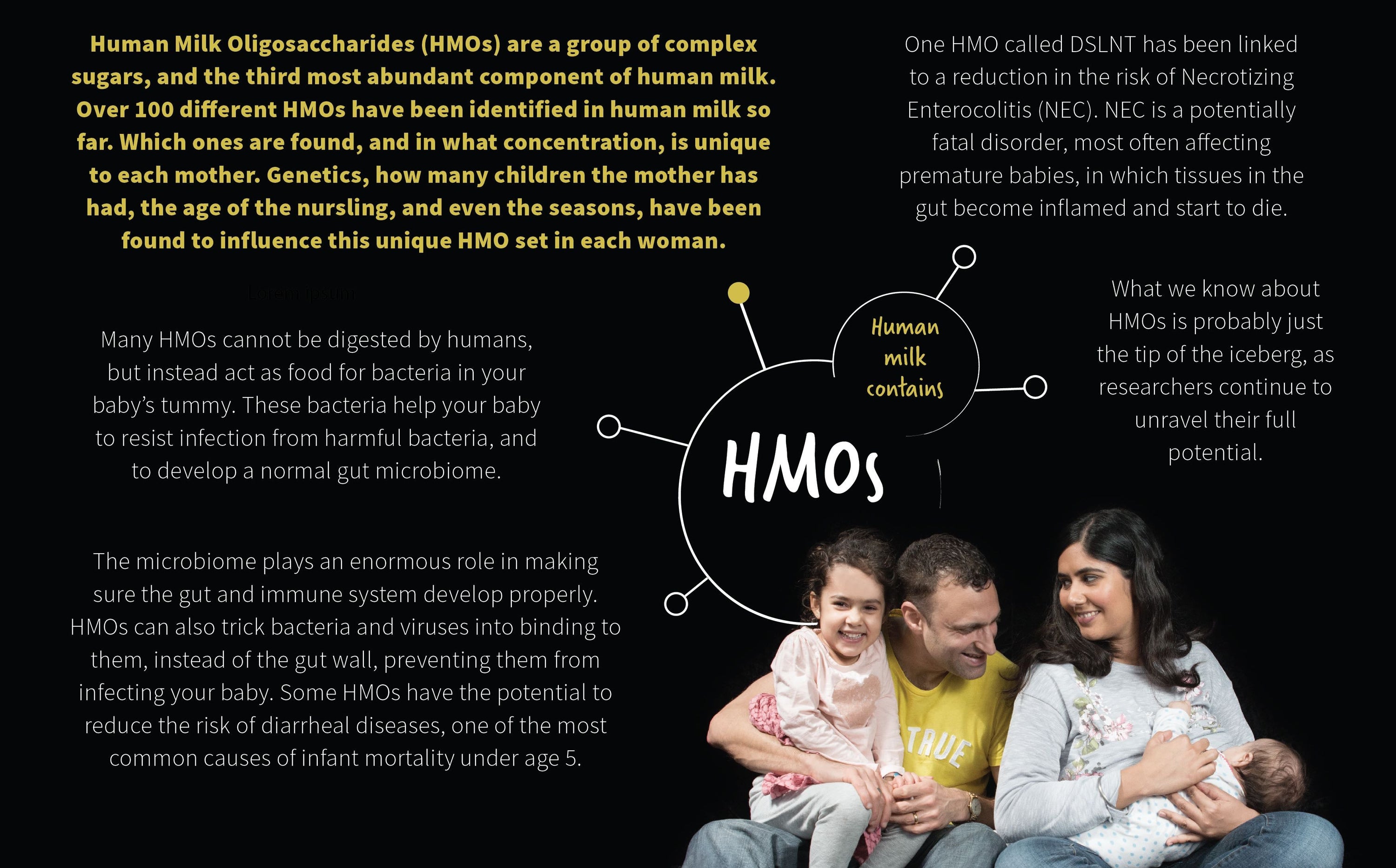 What's in breastmilk? – Human Milk