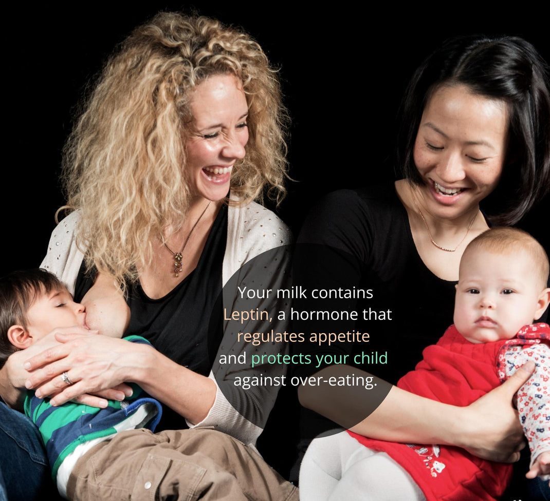 What's in breastmilk? – Human Milk