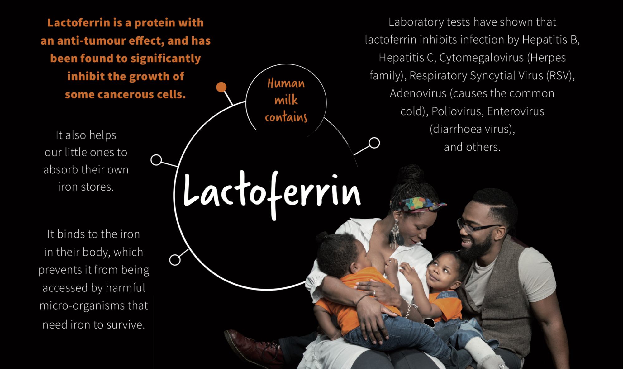 What's in breastmilk? – Human Milk