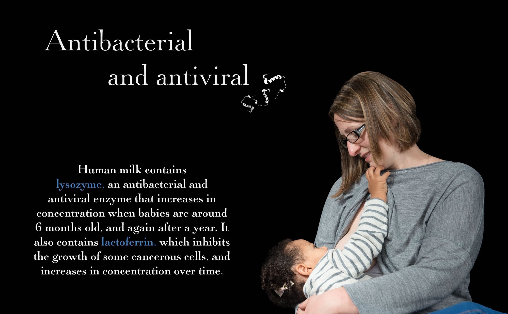 What's in breastmilk? – Human Milk