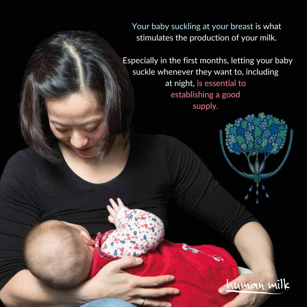 What's in breastmilk? – Human Milk