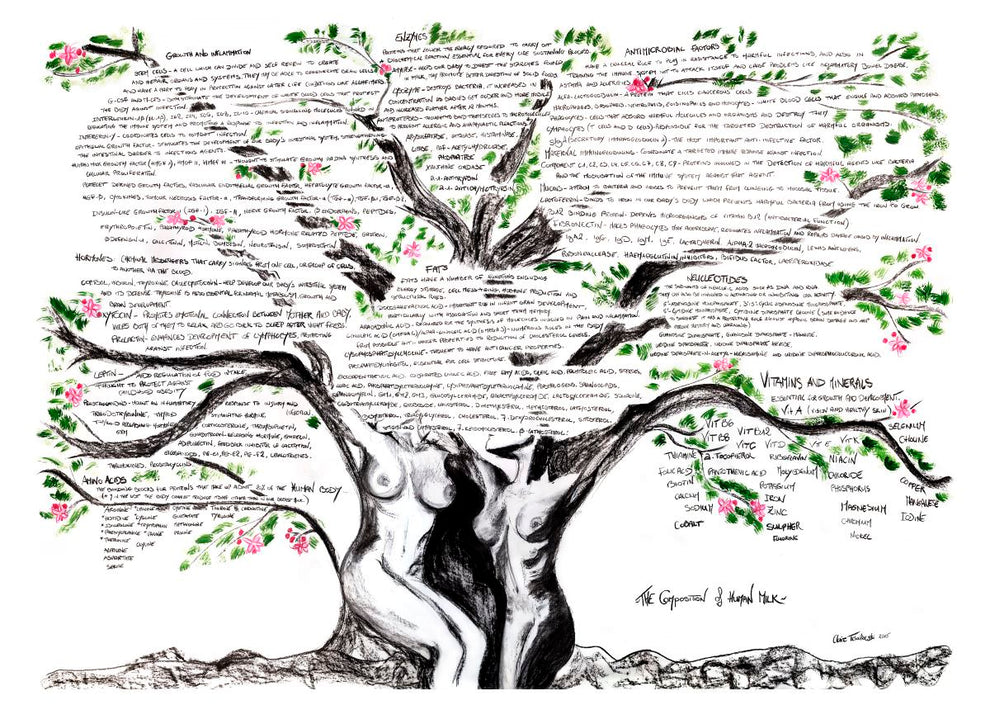 Poster "The Tree of Life" - Composition of human milk – Human Milk